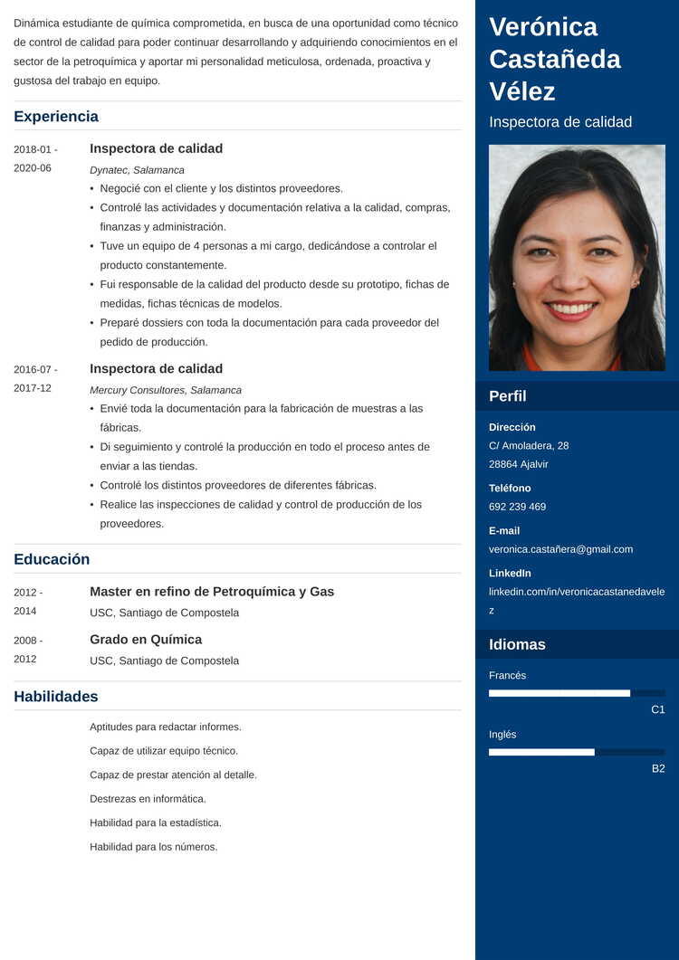 10 Programas Informáticos Más Usados y Esenciales para CV